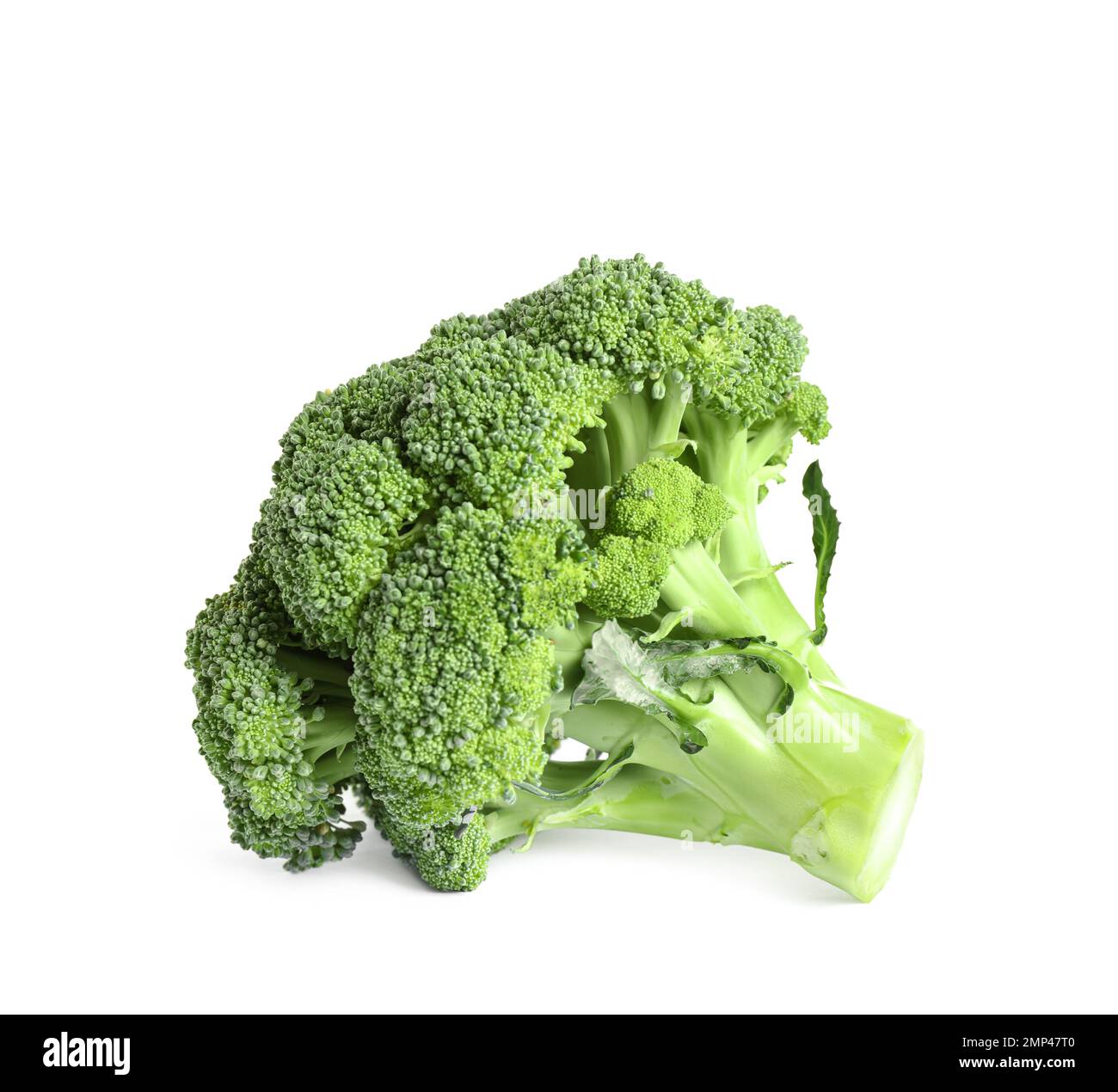 Fresh green raw broccoli on white background Stock Photo - Alamy