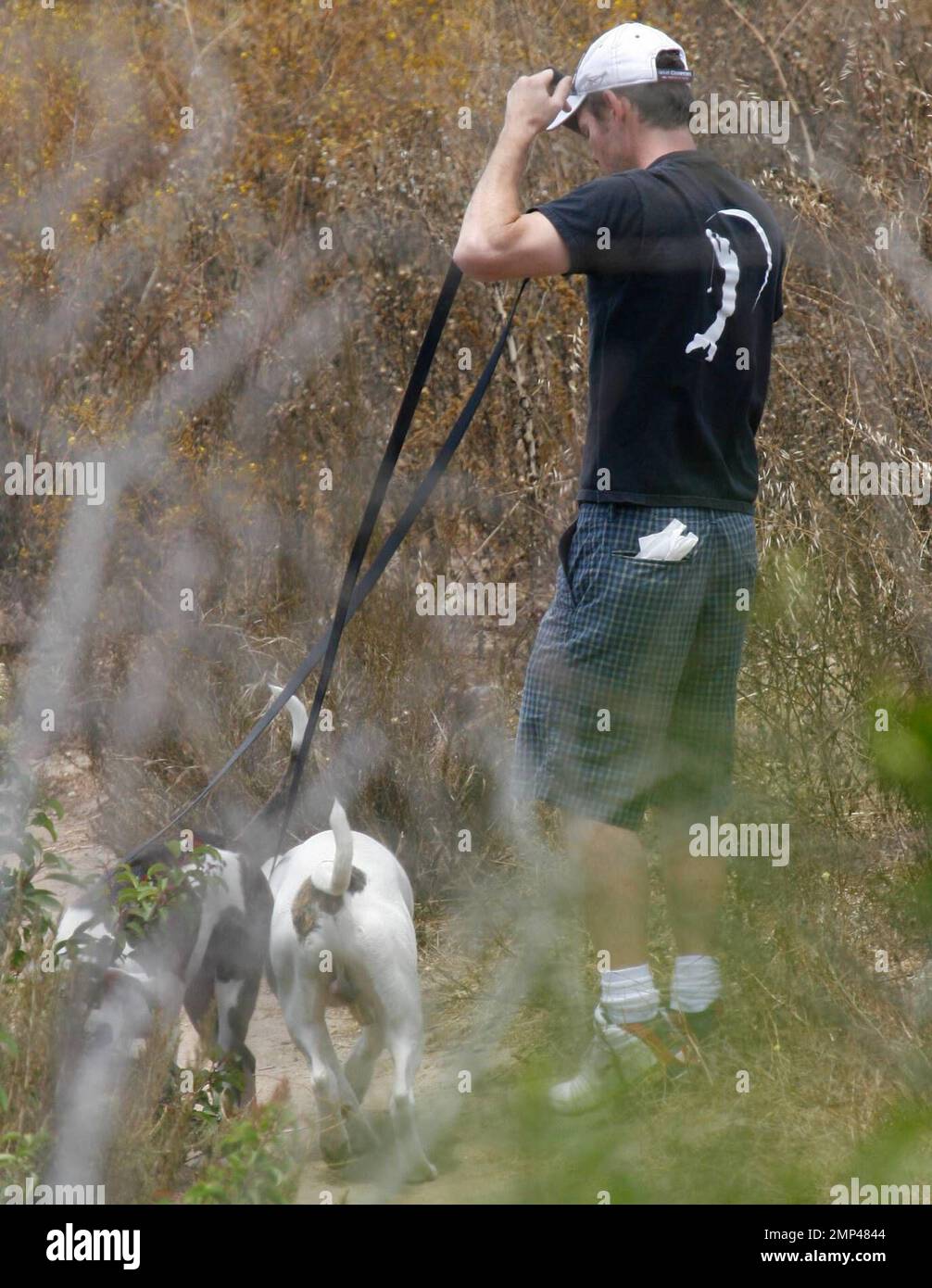 Exclusive!! "Entourage" star Kevin Dillon takes his dogs for a walk in ...