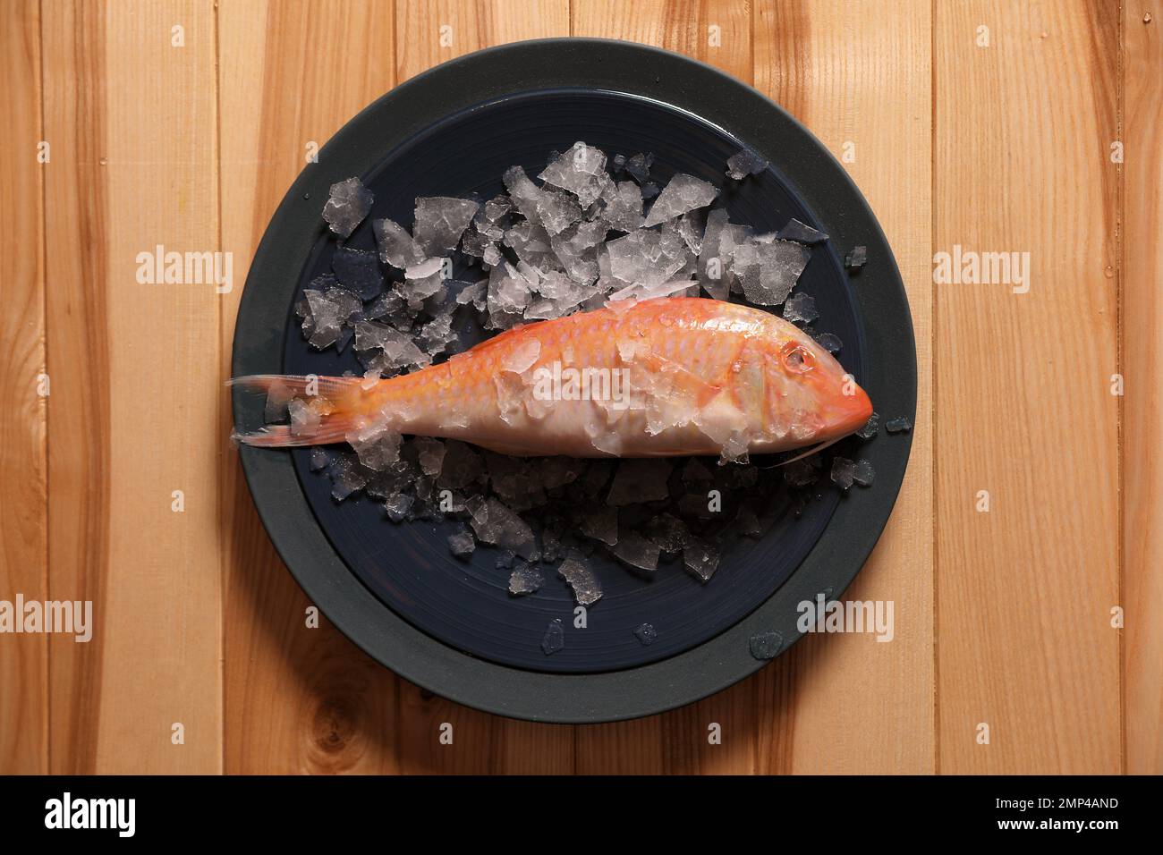 Top view mullet fish hi-res stock photography and images - Alamy
