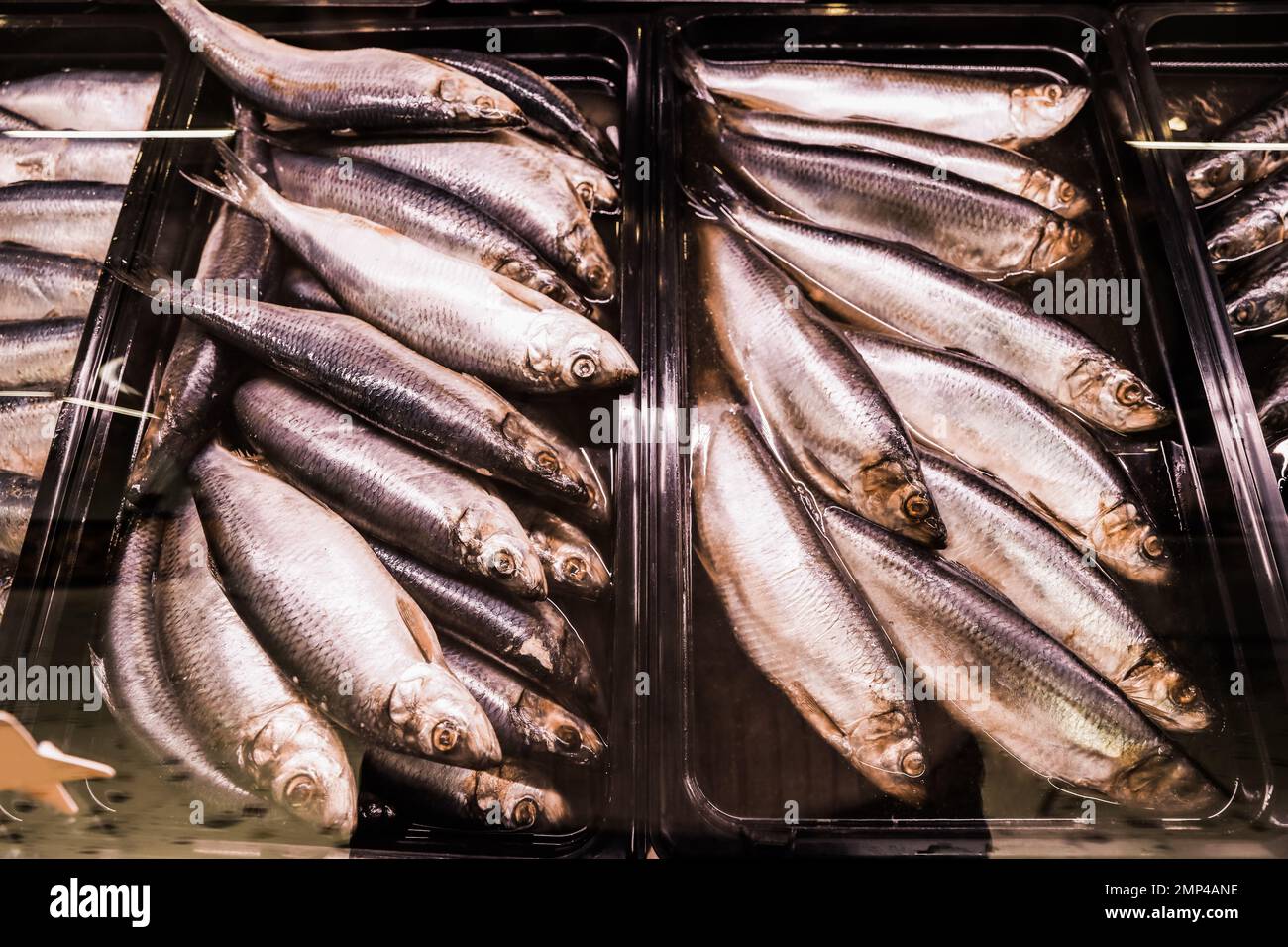 Showcase different types hi-res stock photography and images - Alamy