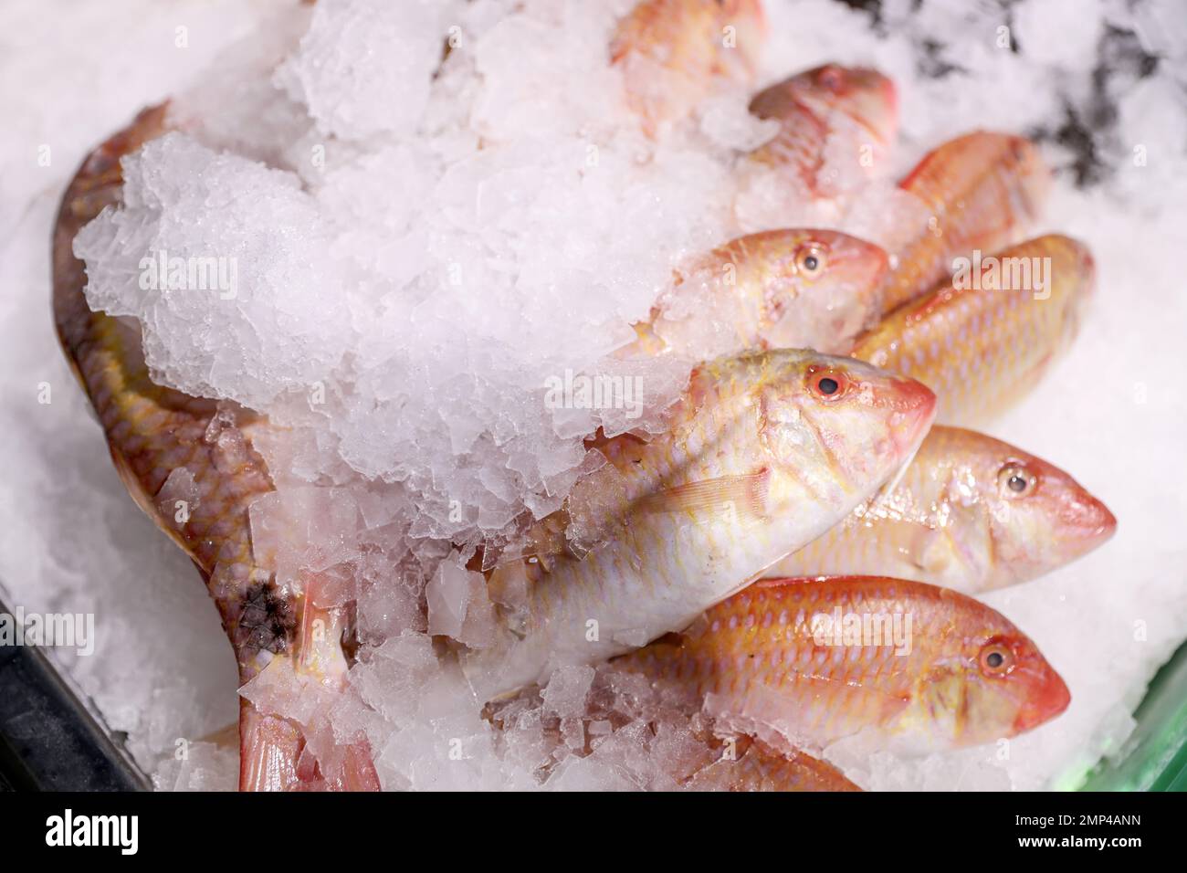 Fresh raw fish with ice in supermarket, above view Stock Photo - Alamy