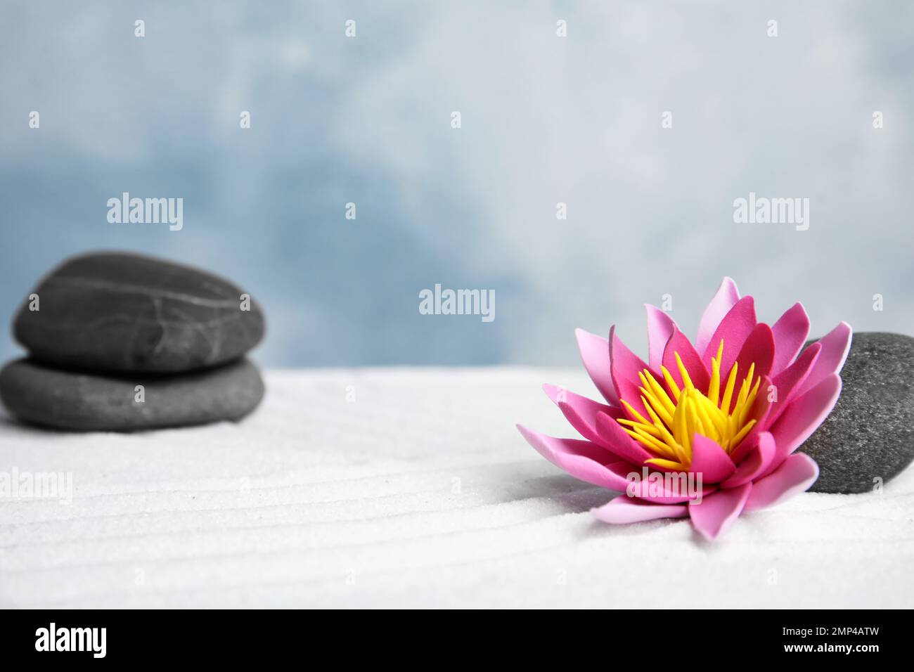 Zen garden. Beautiful lotus flower and stone on white sand Stock Photo ...