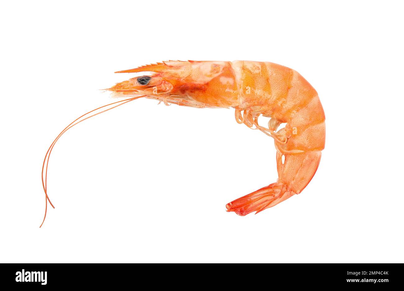 Delicious recipe cooked shrimp on hi-res stock photography and images ...