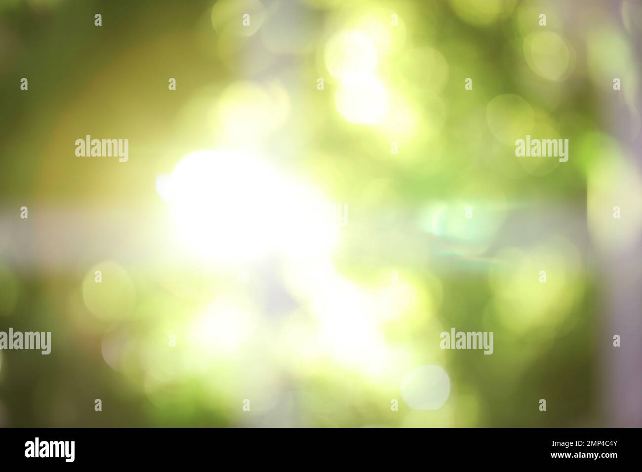 Blurred view through window on garden in morning Stock Photo - Alamy