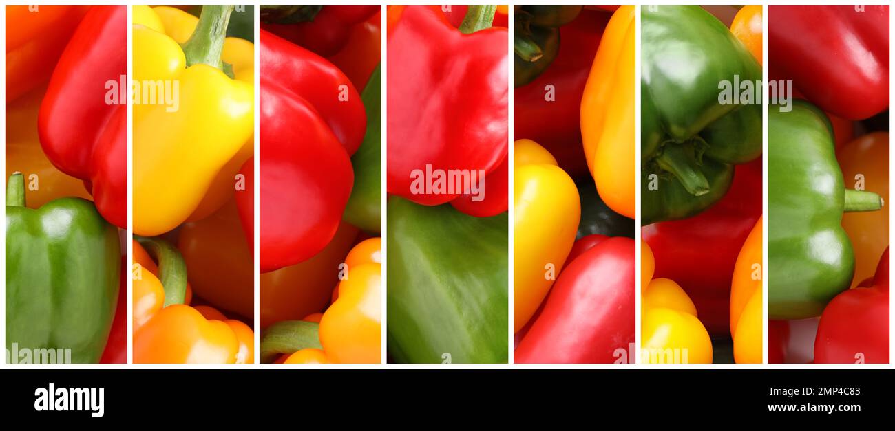 Collage with ripe bell peppers, closeup. Banner design Stock Photo - Alamy