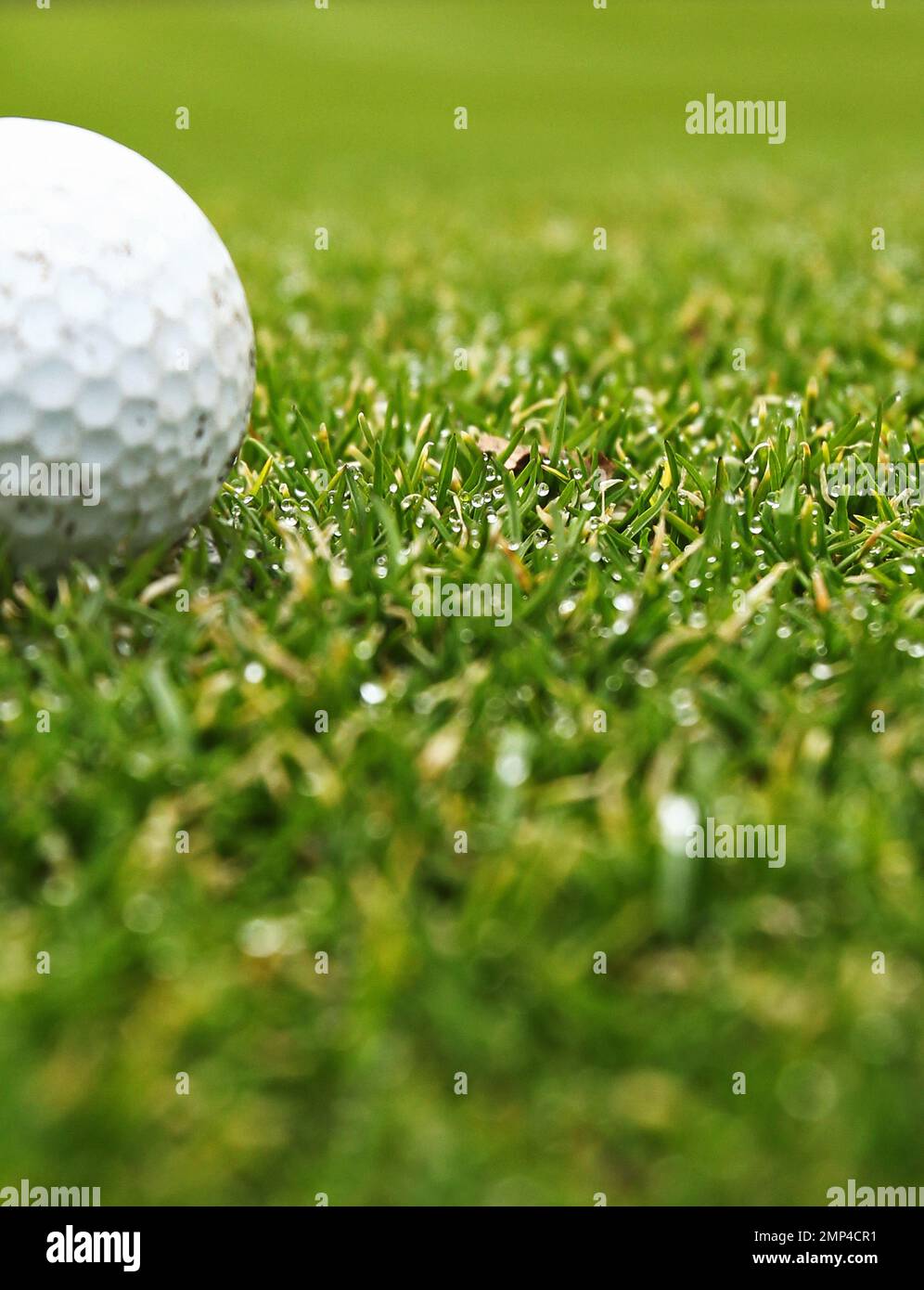 A Golf ball Stock Photo - Alamy