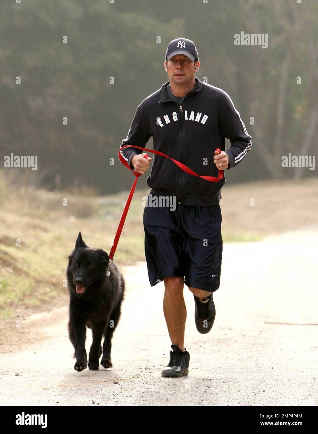 Actor Jerry O'Connell gets in some exercise, jogging with his dog ...