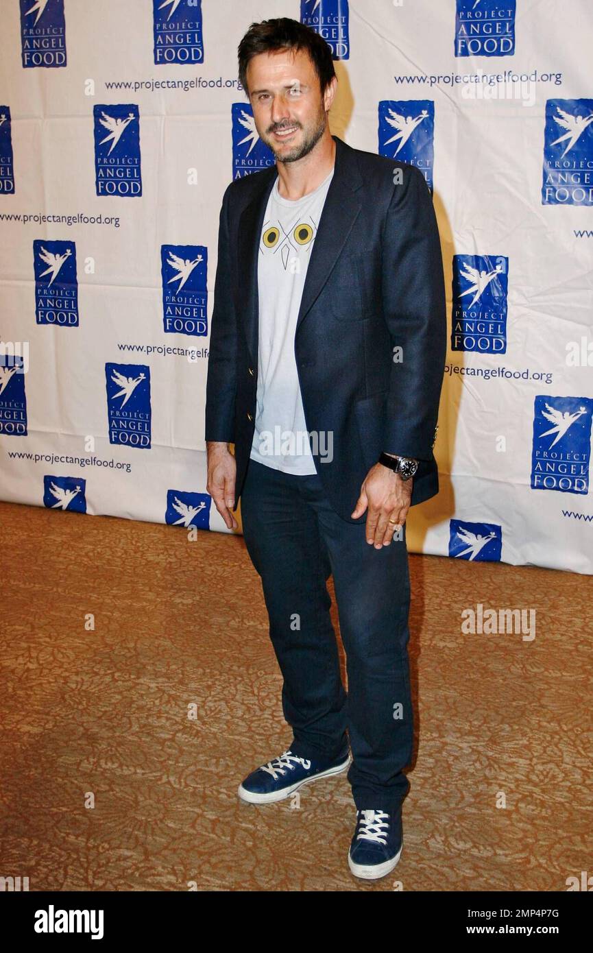 David Arquette arrives at the the 16th Annual Divine Design to benefit ...