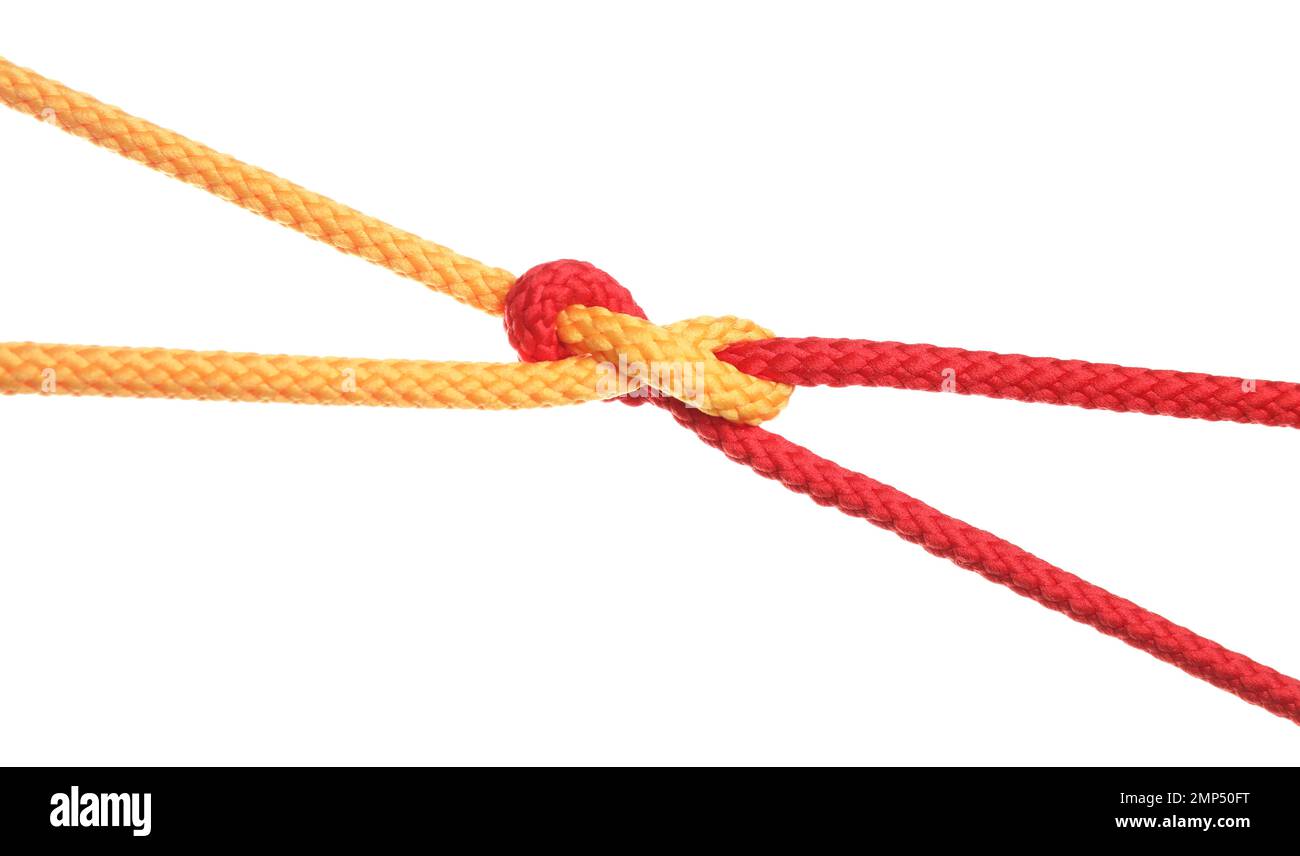 Colorful ropes tied together with knot isolated on white. Unity concept ...