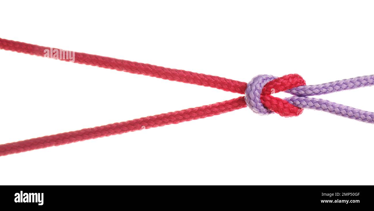 Colorful ropes tied together with knot isolated on white. Unity concept ...