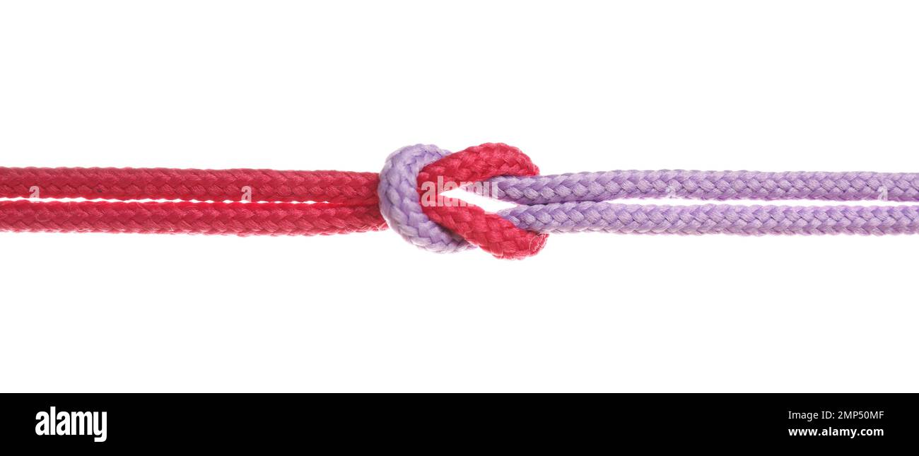 Colorful ropes tied together with knot isolated on white. Unity concept ...