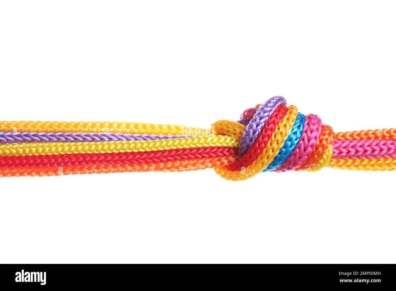 Colorful ropes tied together with knot isolated on white. Unity concept ...