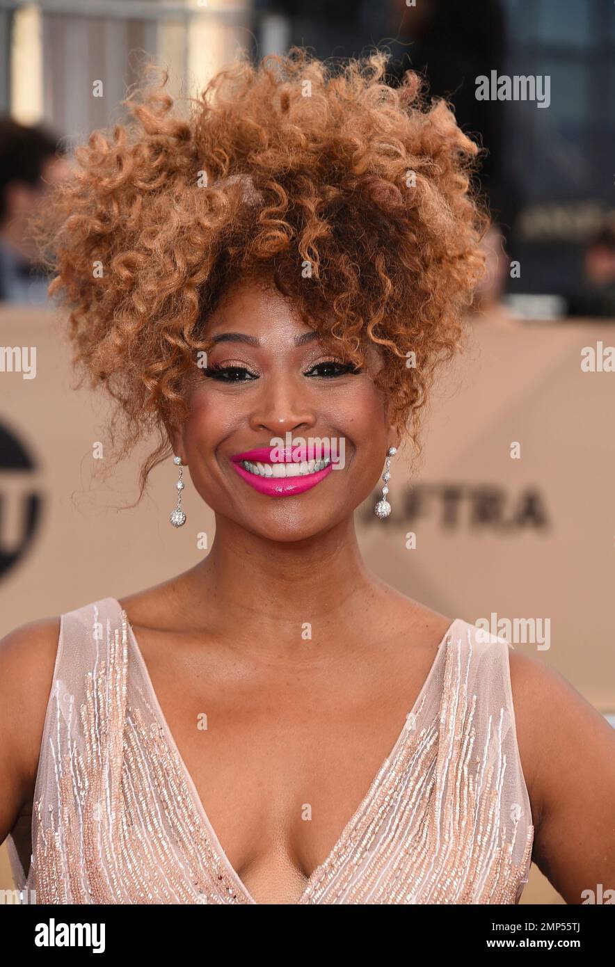 Tanika Ray arrives at the 24th annual Screen Actors Guild Awards at the ...