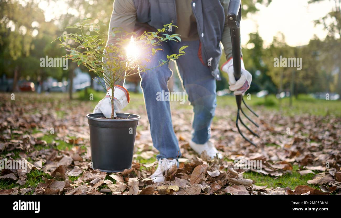 Agriculture, plant and agro person gardening in a park or field with a ...