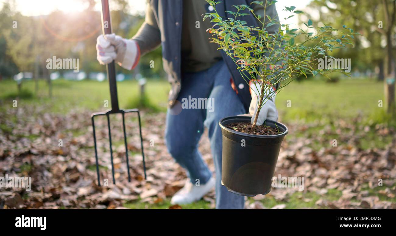 Nature, plant and eco friendly person gardening in a park with a ...