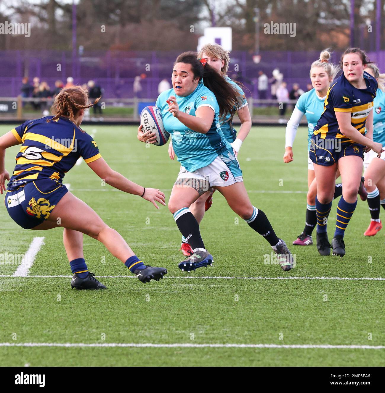 Tanya bird hi-res stock photography and images - Alamy