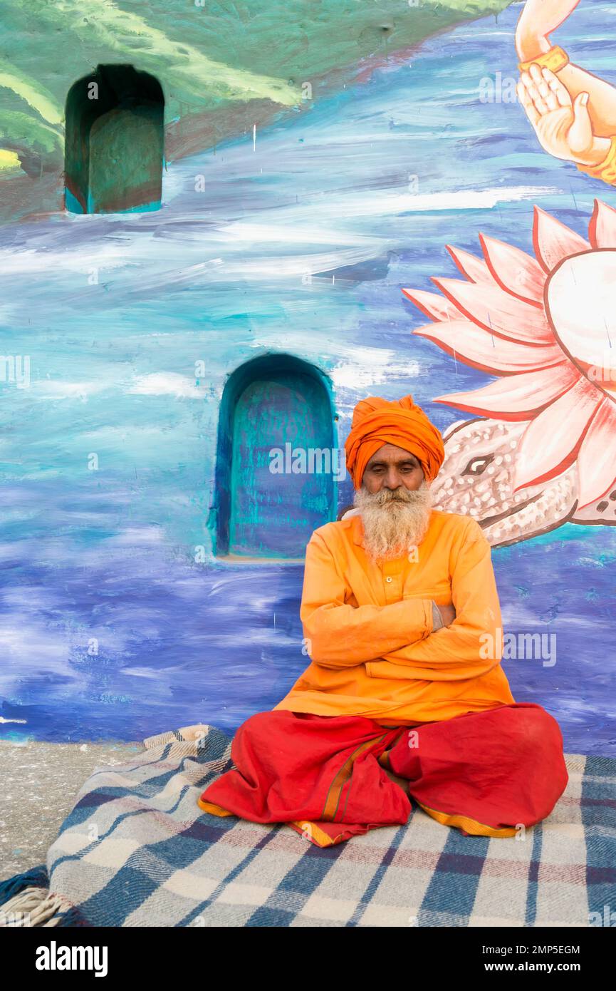 Sadhu in saffron colour garments seating in front of a deity painting ...