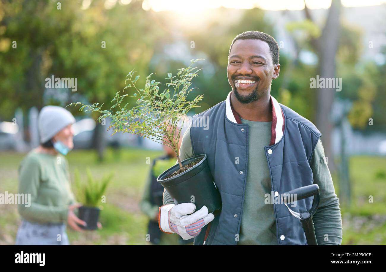Agriculture, nature and black man with a plant in a park after doing ...