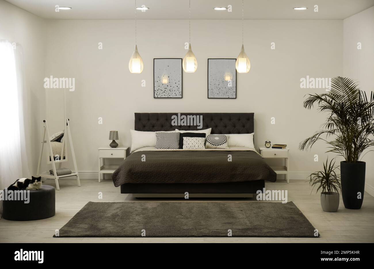 Modern bedroom interior. Cute fluffy cat on ottoman Stock Photo - Alamy