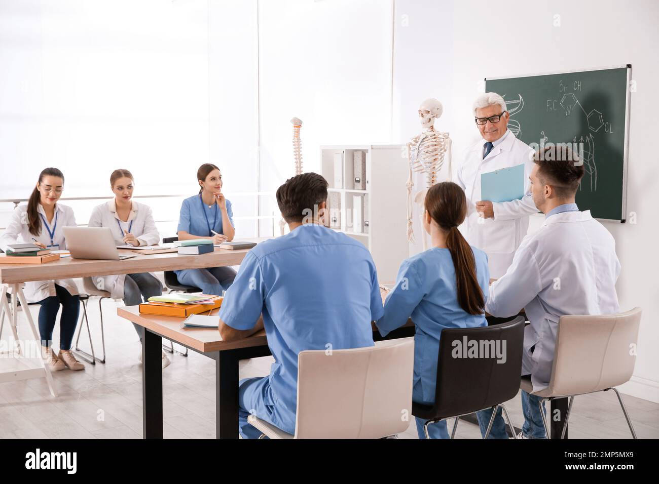 Medical students and professor studying human skeleton anatomy in ...