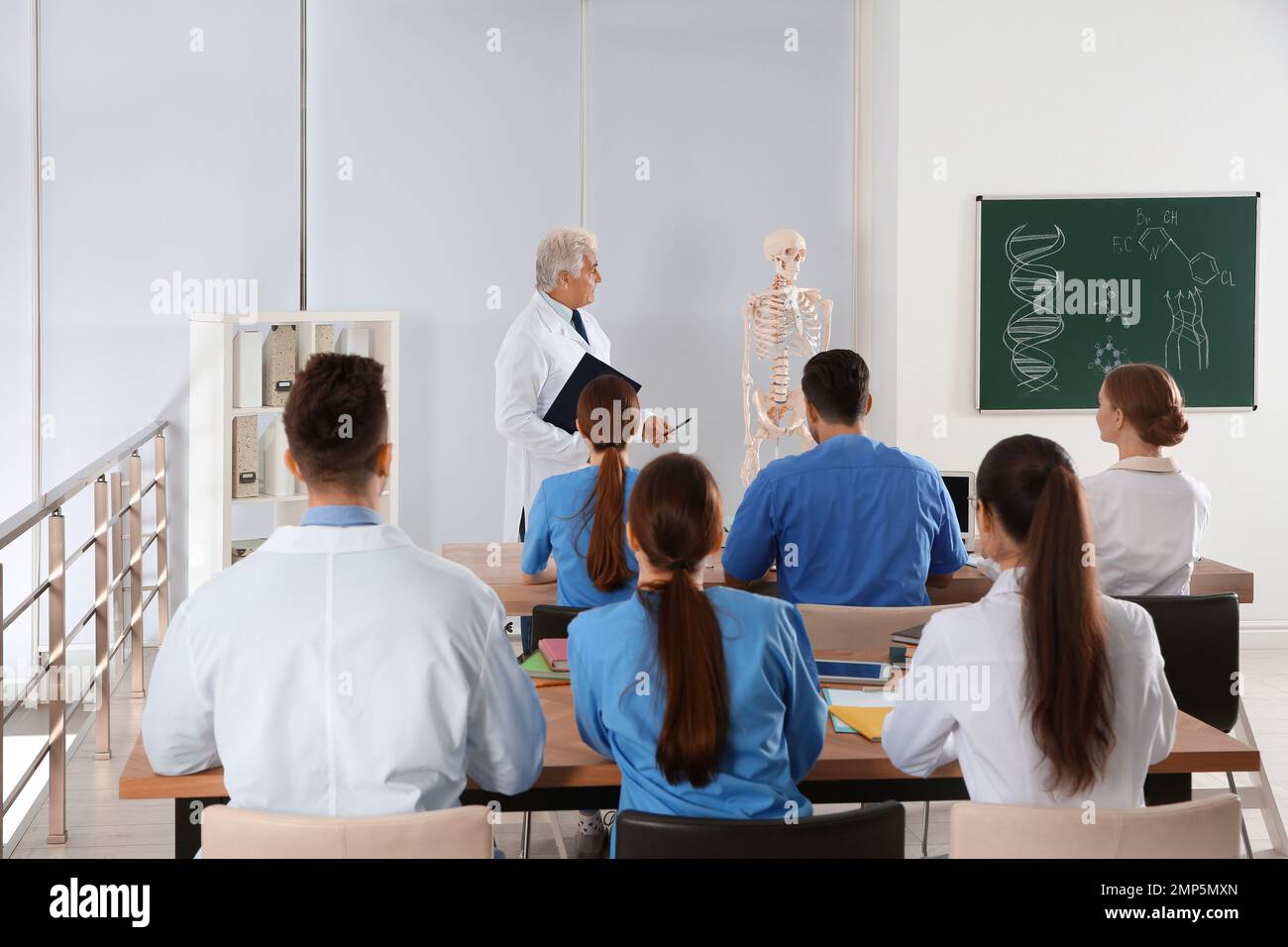 Medical students and professor studying human skeleton anatomy in ...