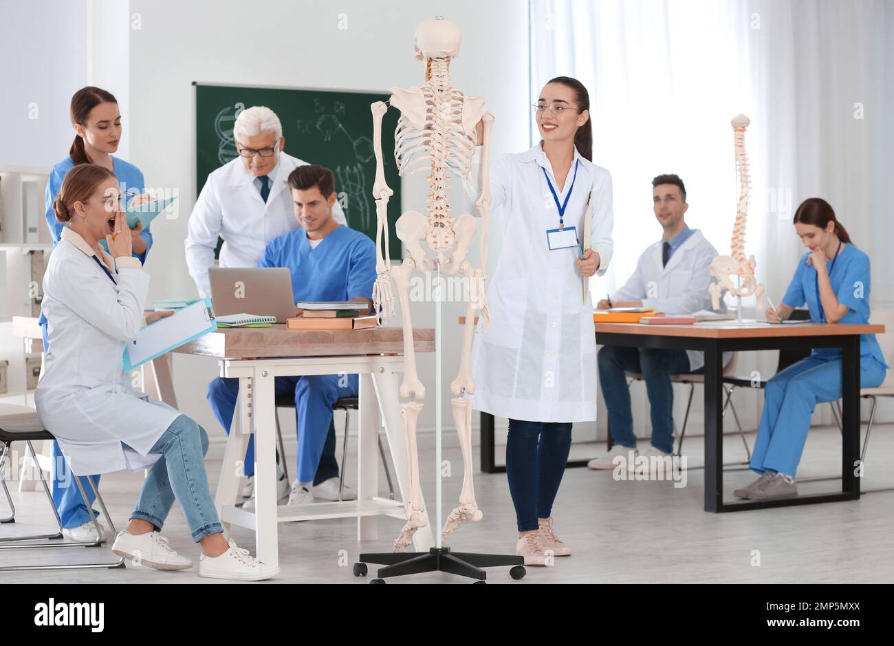Medical students and professor studying human skeleton anatomy in ...