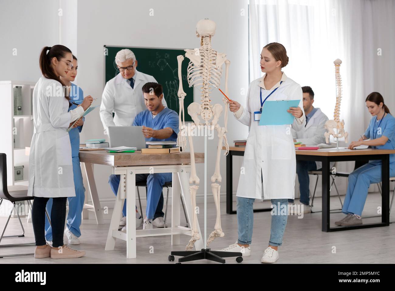 Medical students and professor studying human skeleton anatomy in ...