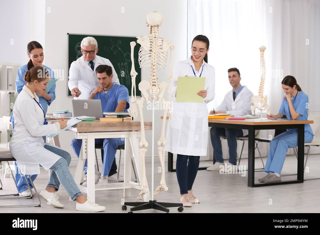 Medical students and professor studying human skeleton anatomy in ...