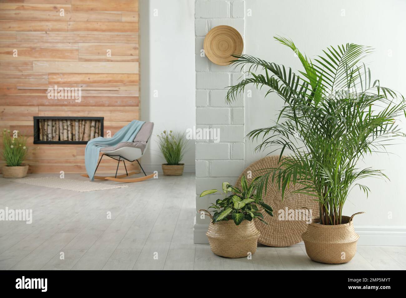 Houseplants in wicker pots on floor indoors. Interior design Stock ...