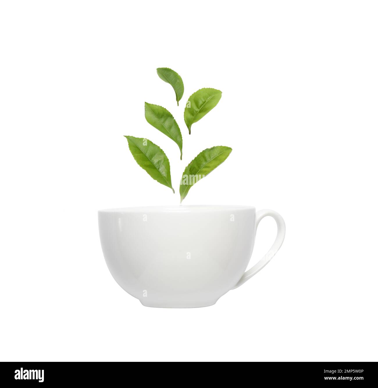 Fresh tea leaves and cup isolated on white Stock Photo - Alamy