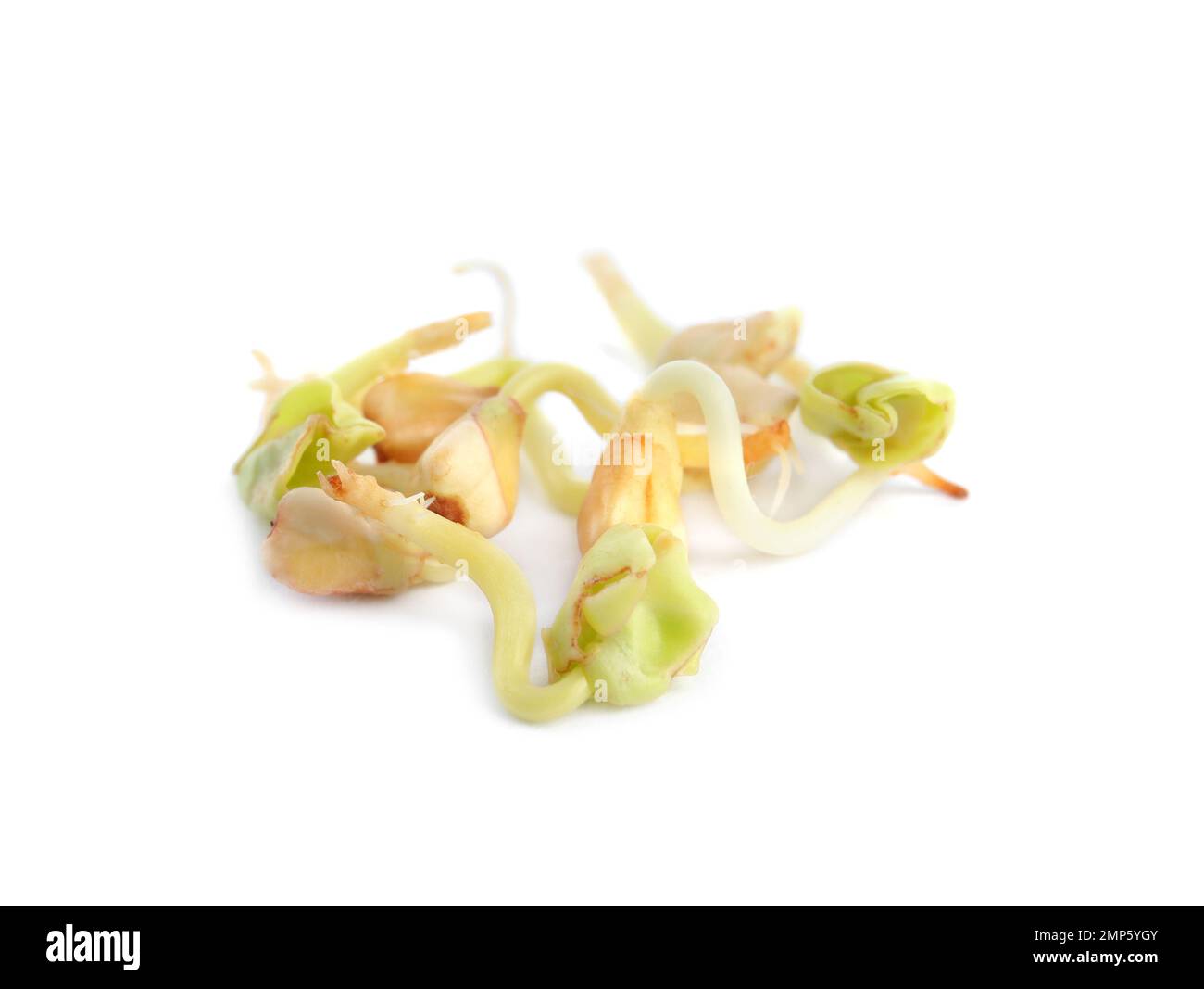 Sprouted green buckwheat grains isolated on white Stock Photo - Alamy