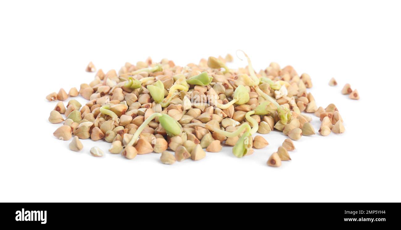 Pile of sprouted green buckwheat isolated on white Stock Photo - Alamy