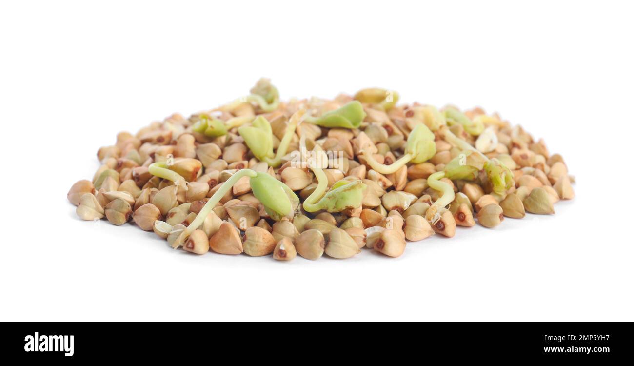Pile of sprouted green buckwheat isolated on white Stock Photo - Alamy