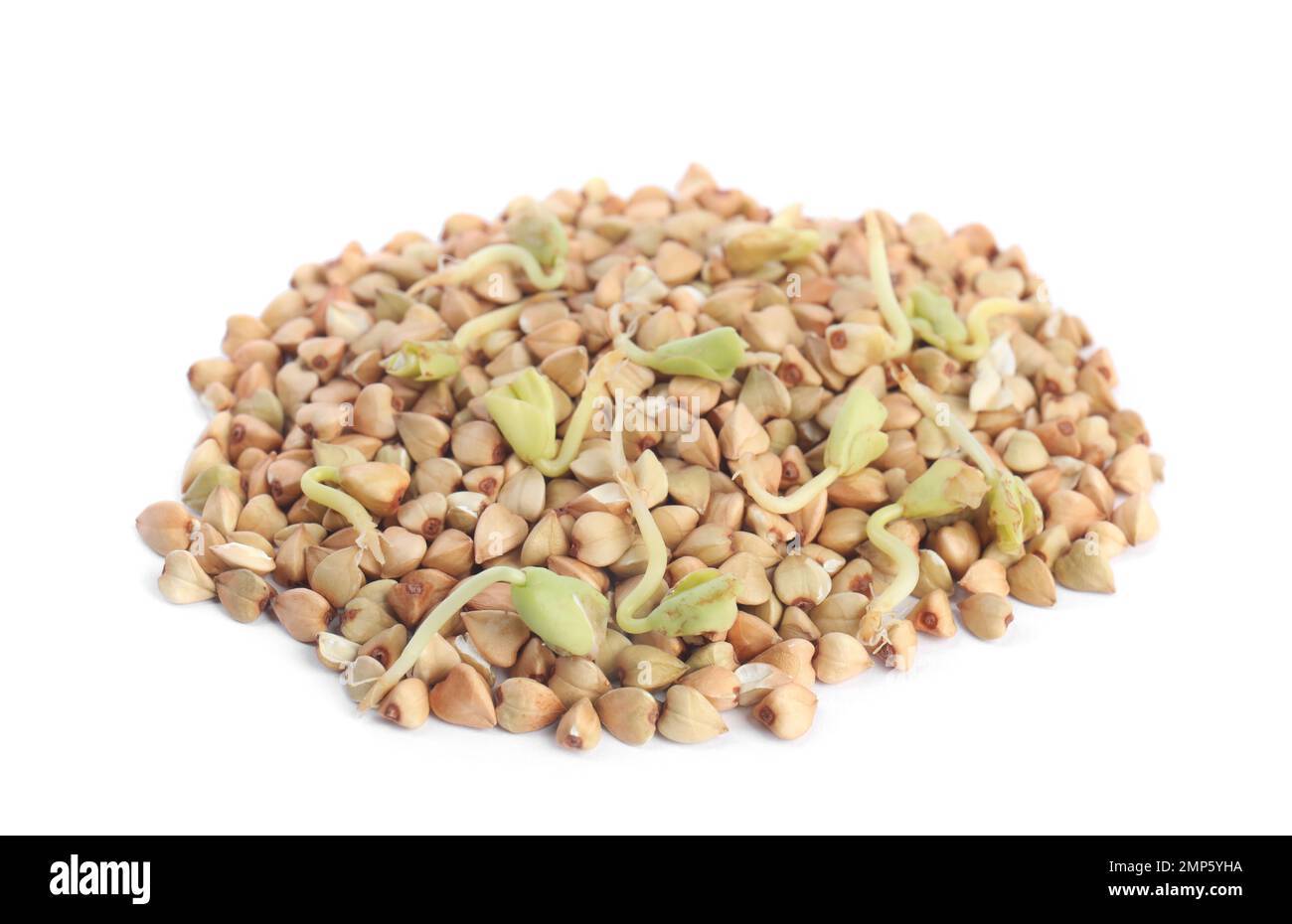 Pile of sprouted green buckwheat isolated on white Stock Photo - Alamy