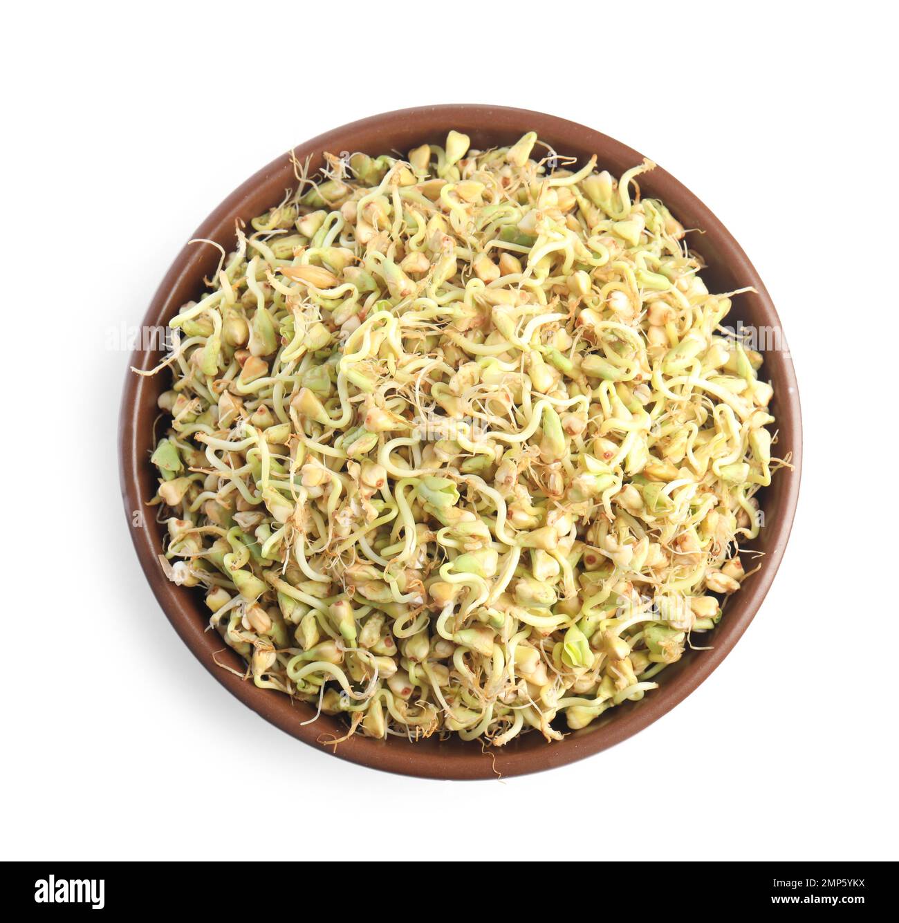 Bowl of sprouted green buckwheat isolated on white, top view Stock ...