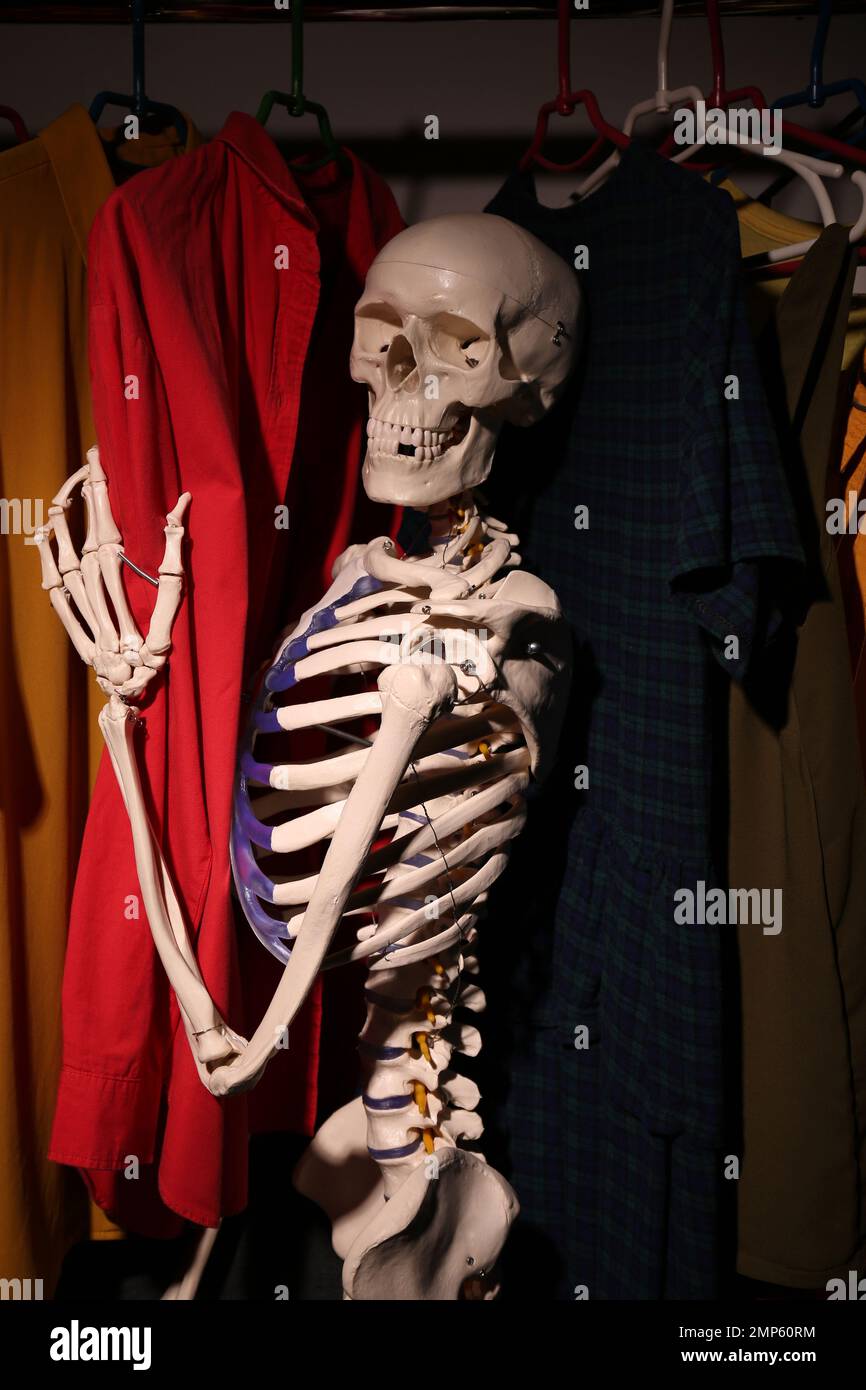 Artificial human skeleton model among clothes in wardrobe Stock Photo ...