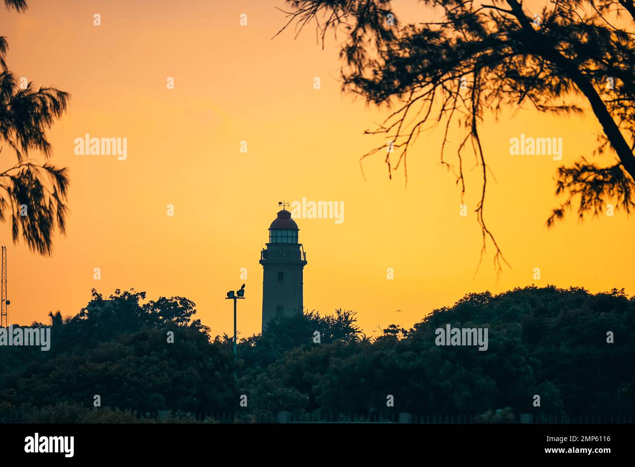 Nature never goes out of style Stock Photo - Alamy Nature never goes out of style Stock Photo - Alamy