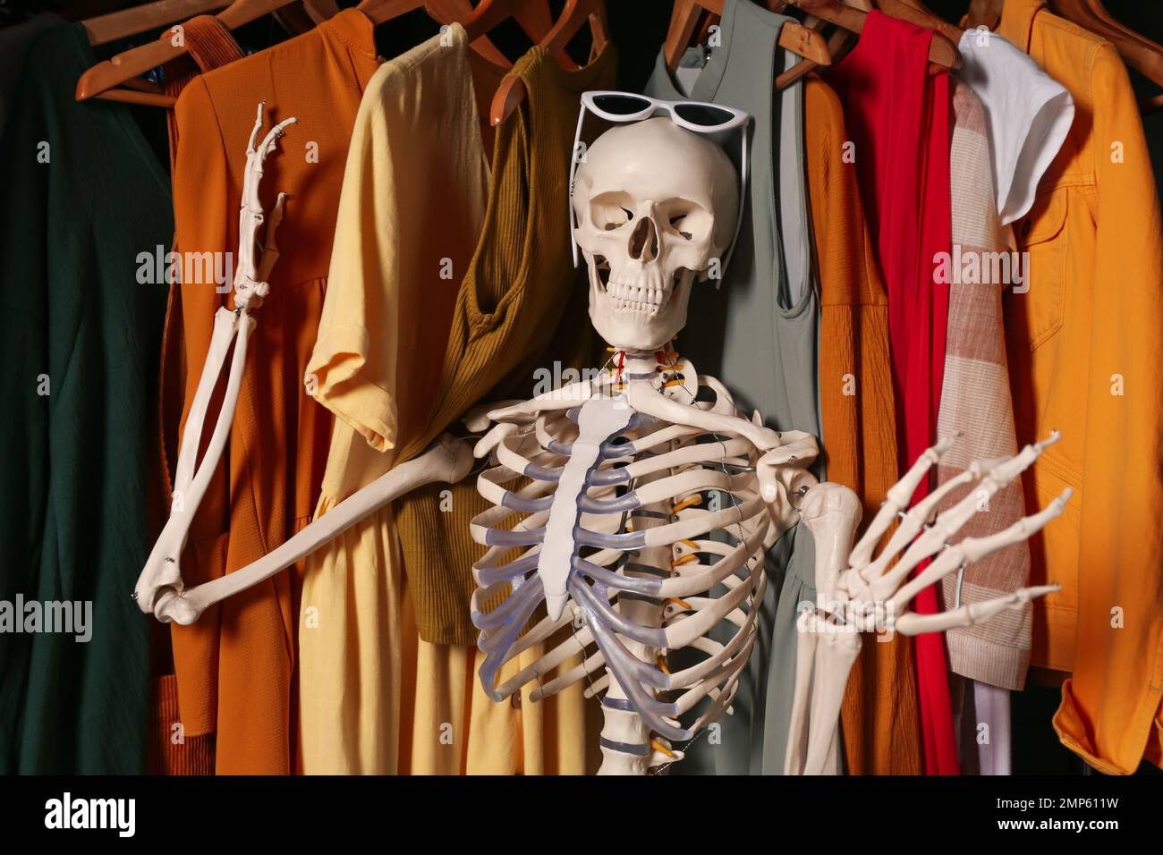 Artificial human skeleton model among clothes in wardrobe Stock Photo ...