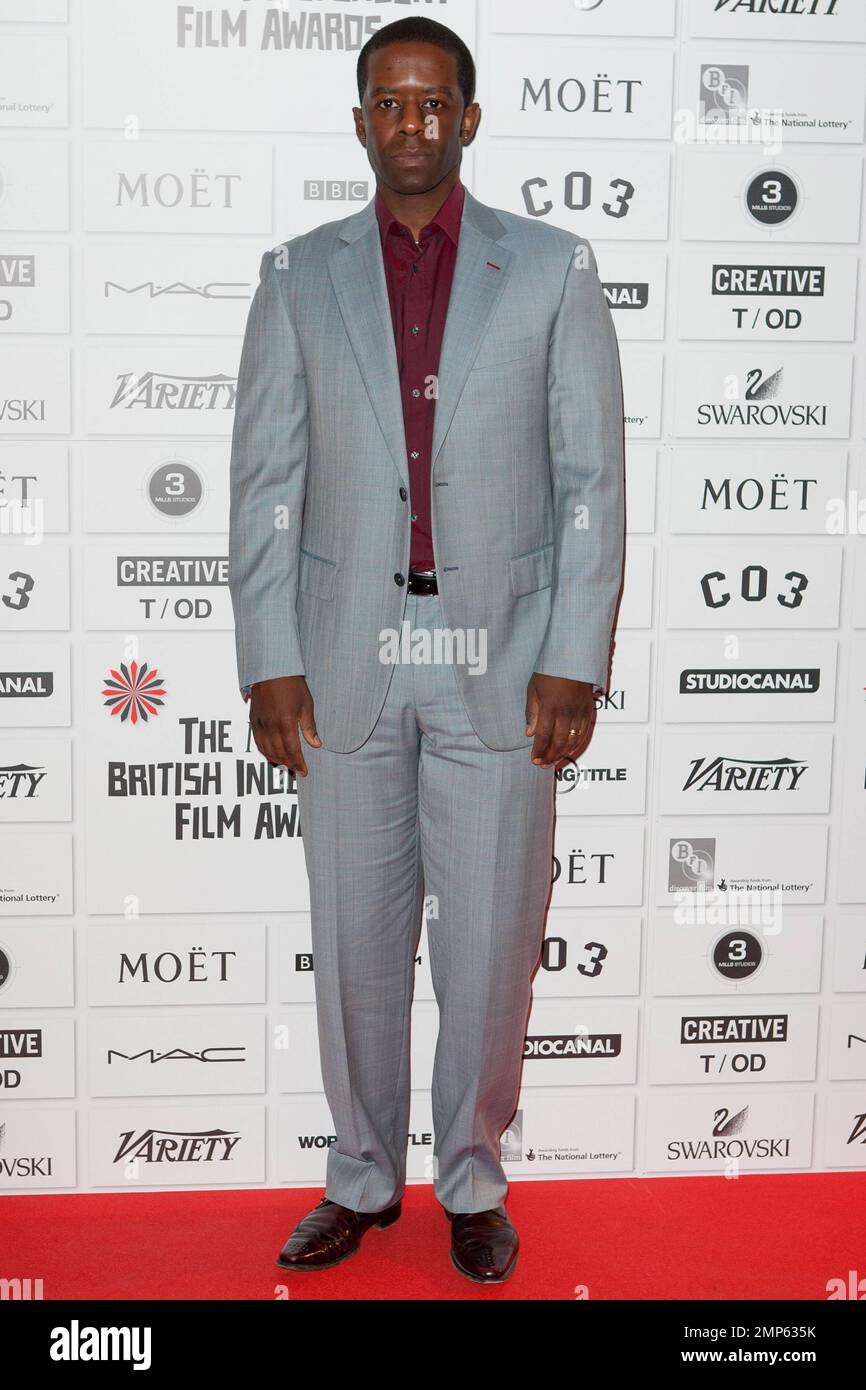 Adrian Lester attends the 14th Moet British Independent Film Awards ...