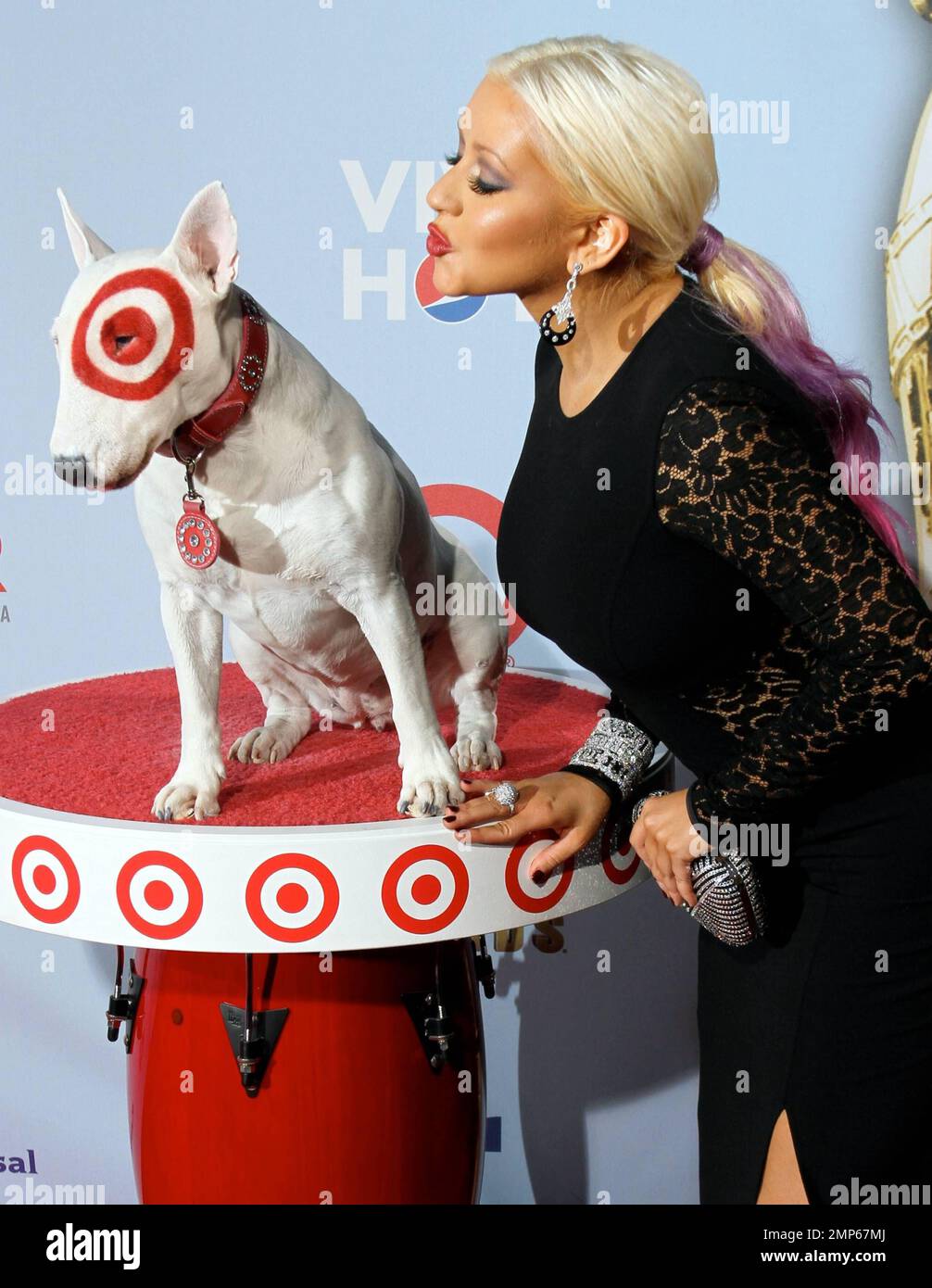 What Happened To The Target Dog