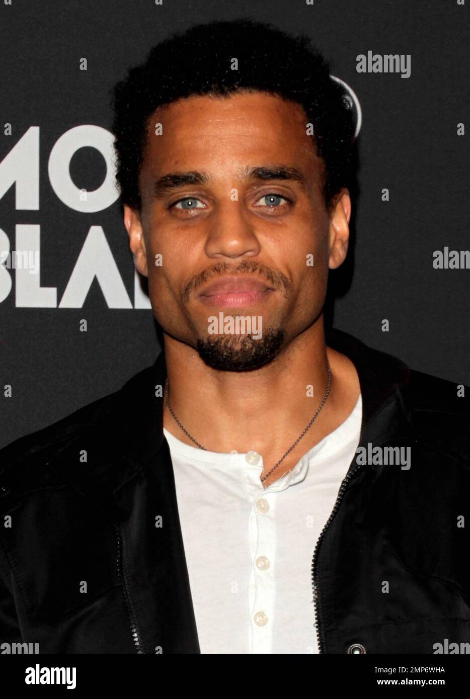 Actor Michael Ealy attends Montblanc Presents The 24 Hour Plays LA at ...