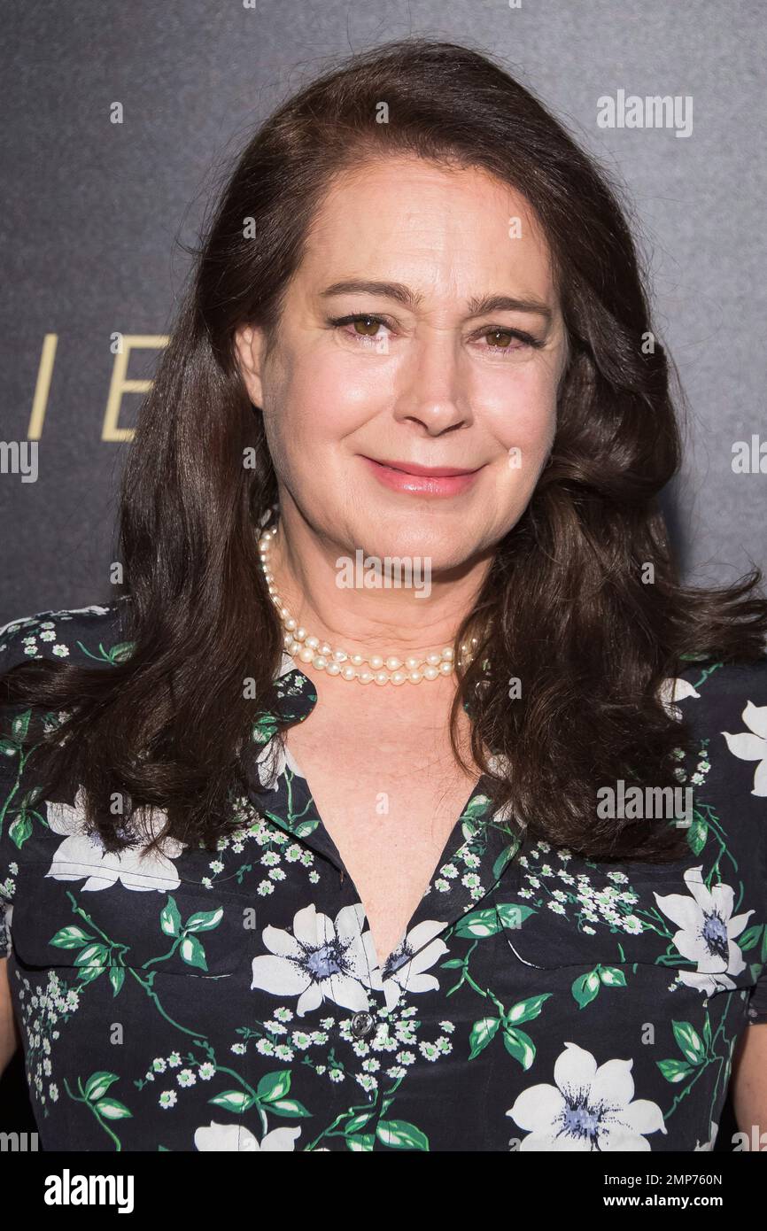 Sean Young attends the premiere of TNT's "The Alienist" at iPic ...