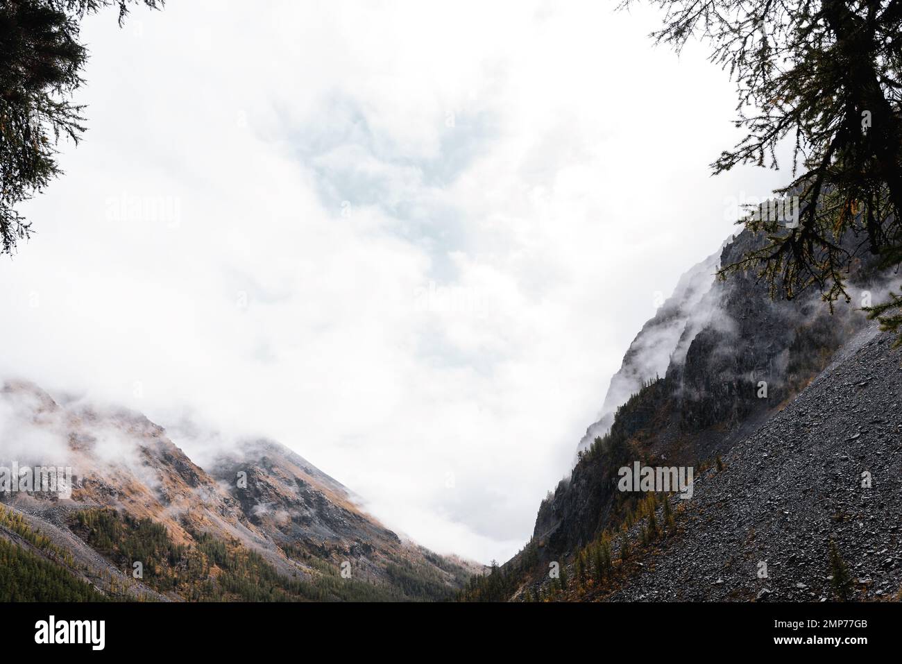 Dense white fog with snow envelops the stone mountains in Altai during ...