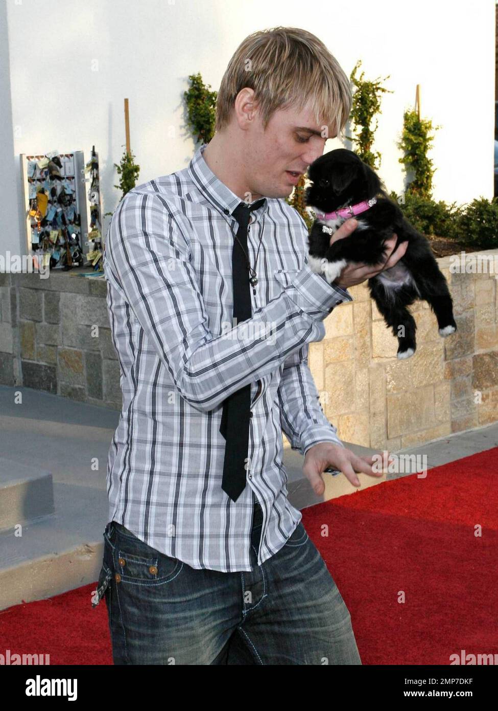 Exclusive!! Aaron Carter plays with his sister's puppy outside the SLS ...