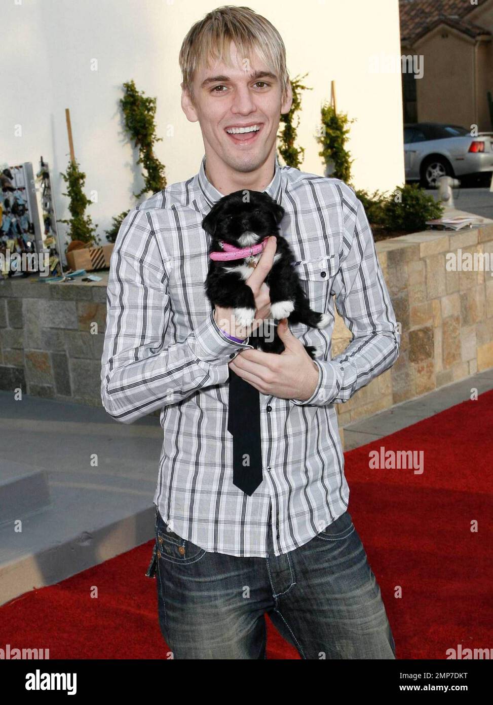 Exclusive!! Aaron Carter plays with his sister's puppy outside the SLS ...