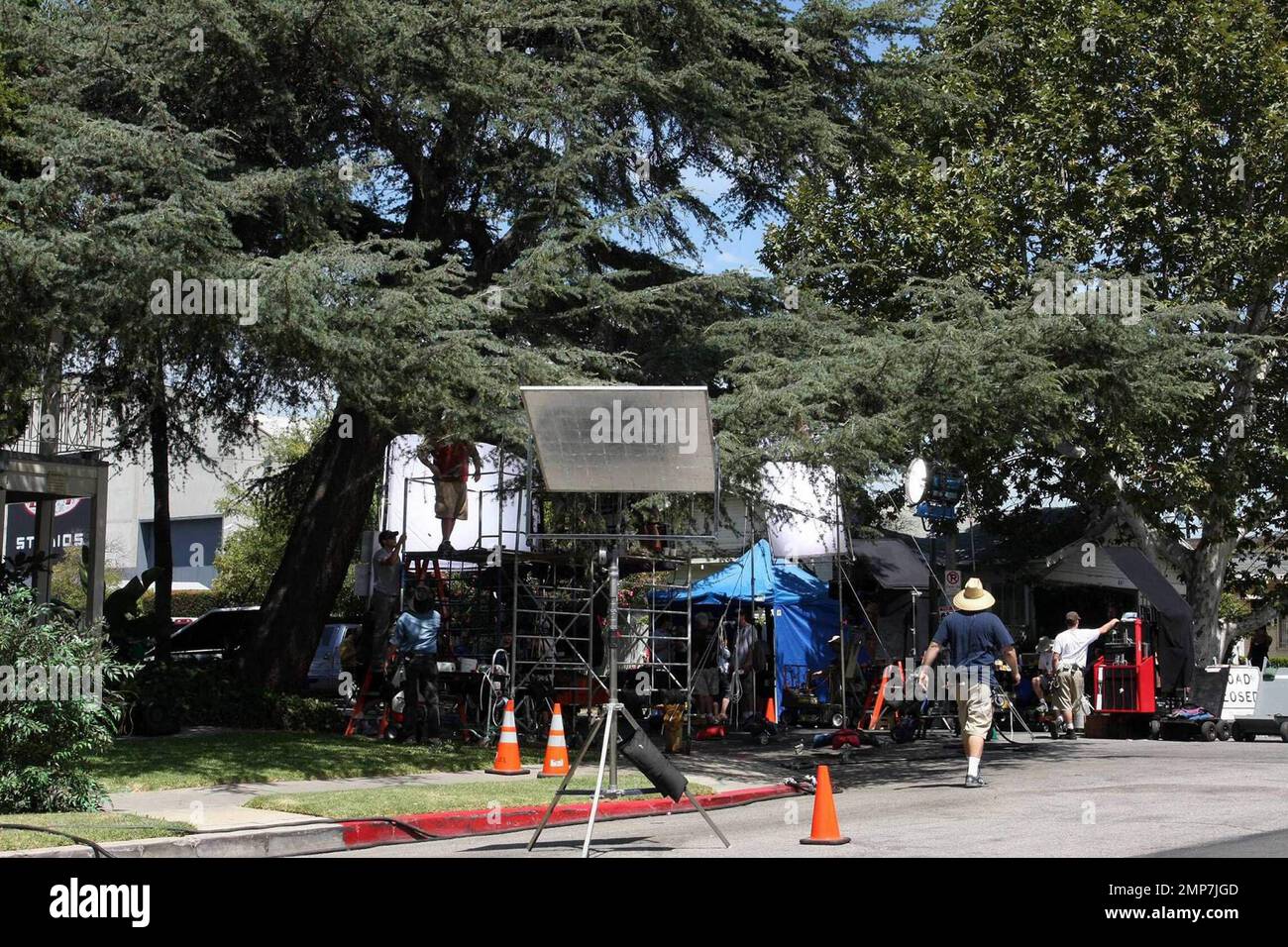 EXCLUSIVE!! Actor and comedian Brian Posehn was seen climbing a tree ...
