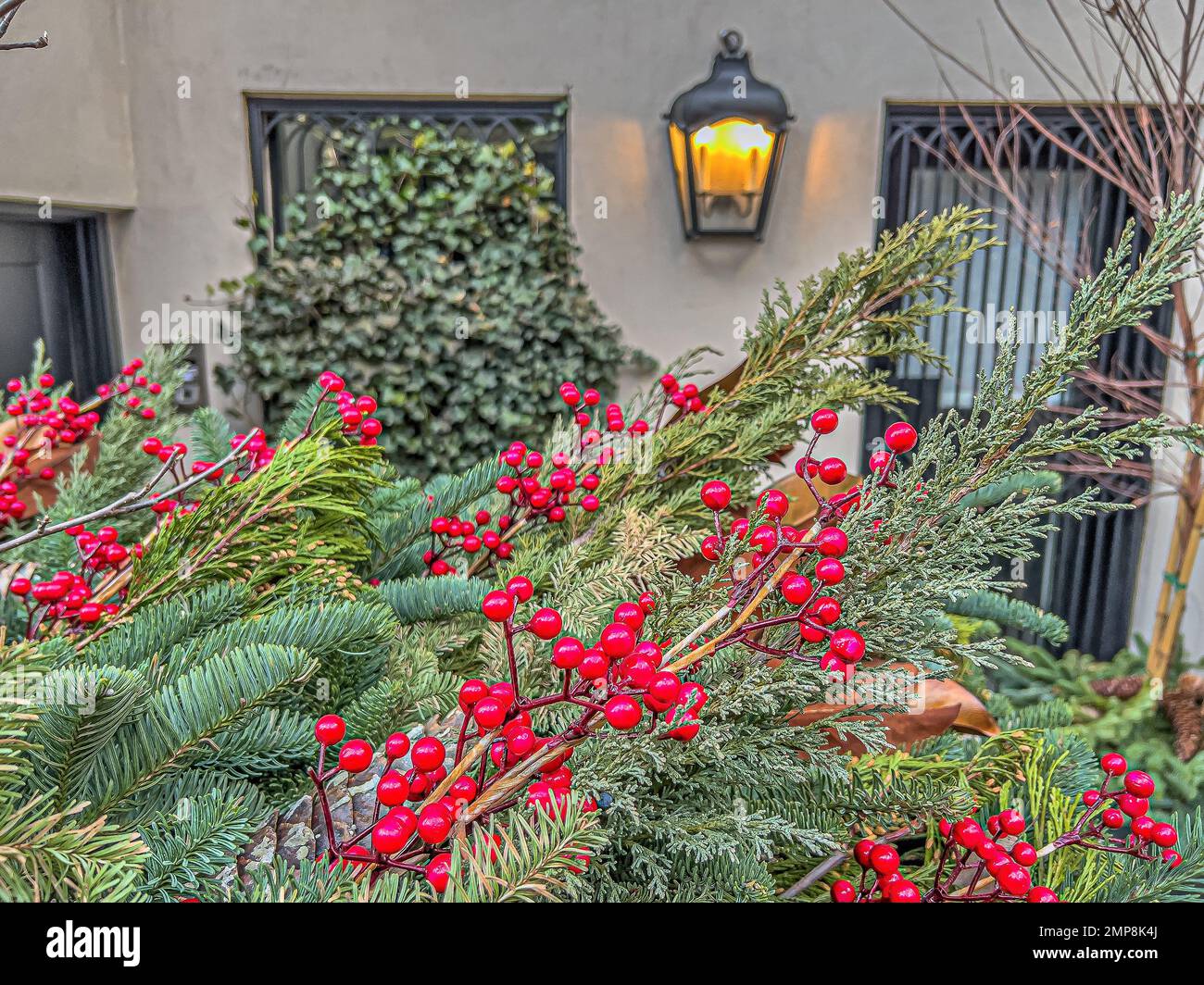Red berries and holiday evergreens in front of entrance to New York ...