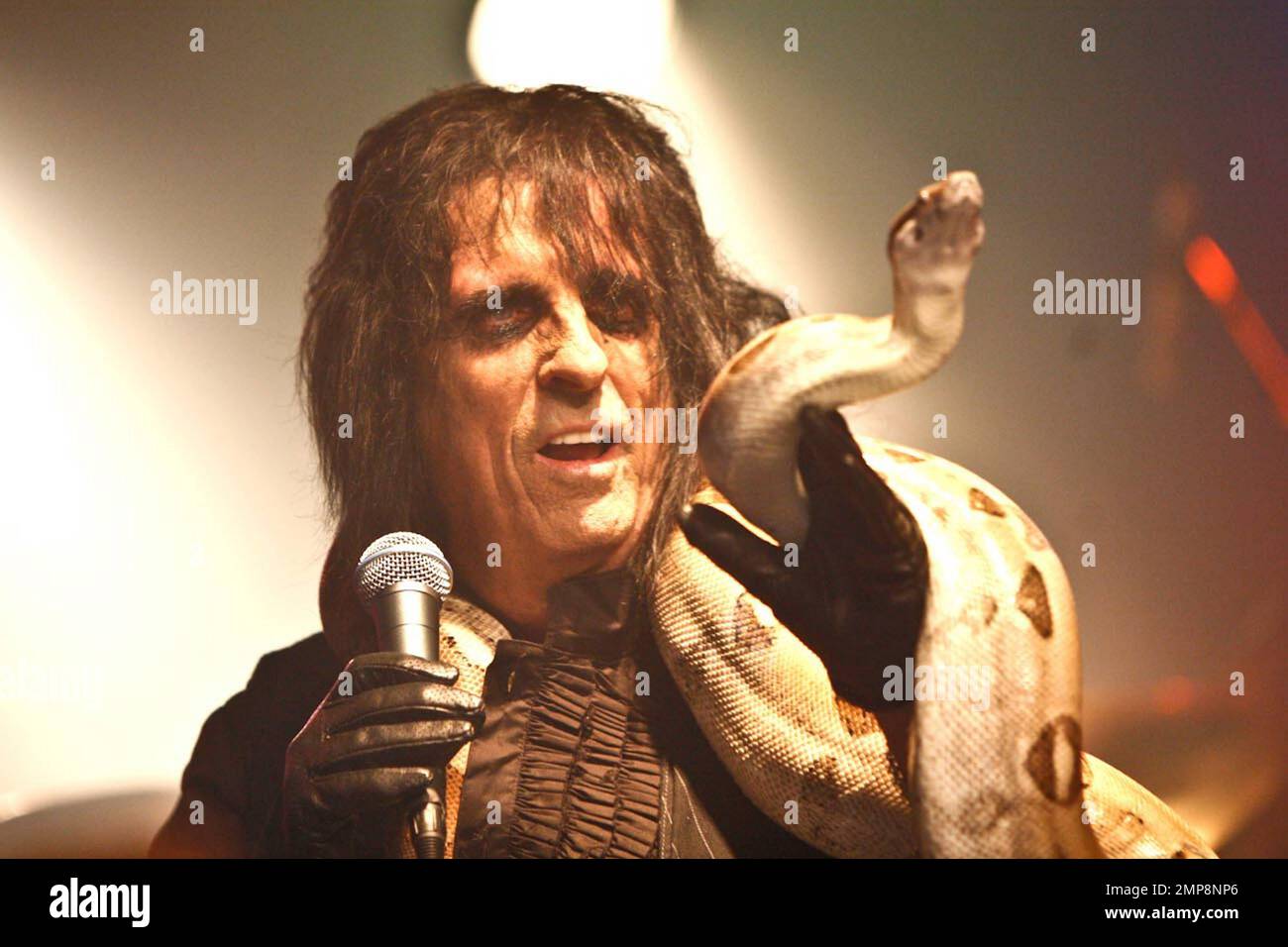 Snake whisky hi-res stock photography and images - Alamy