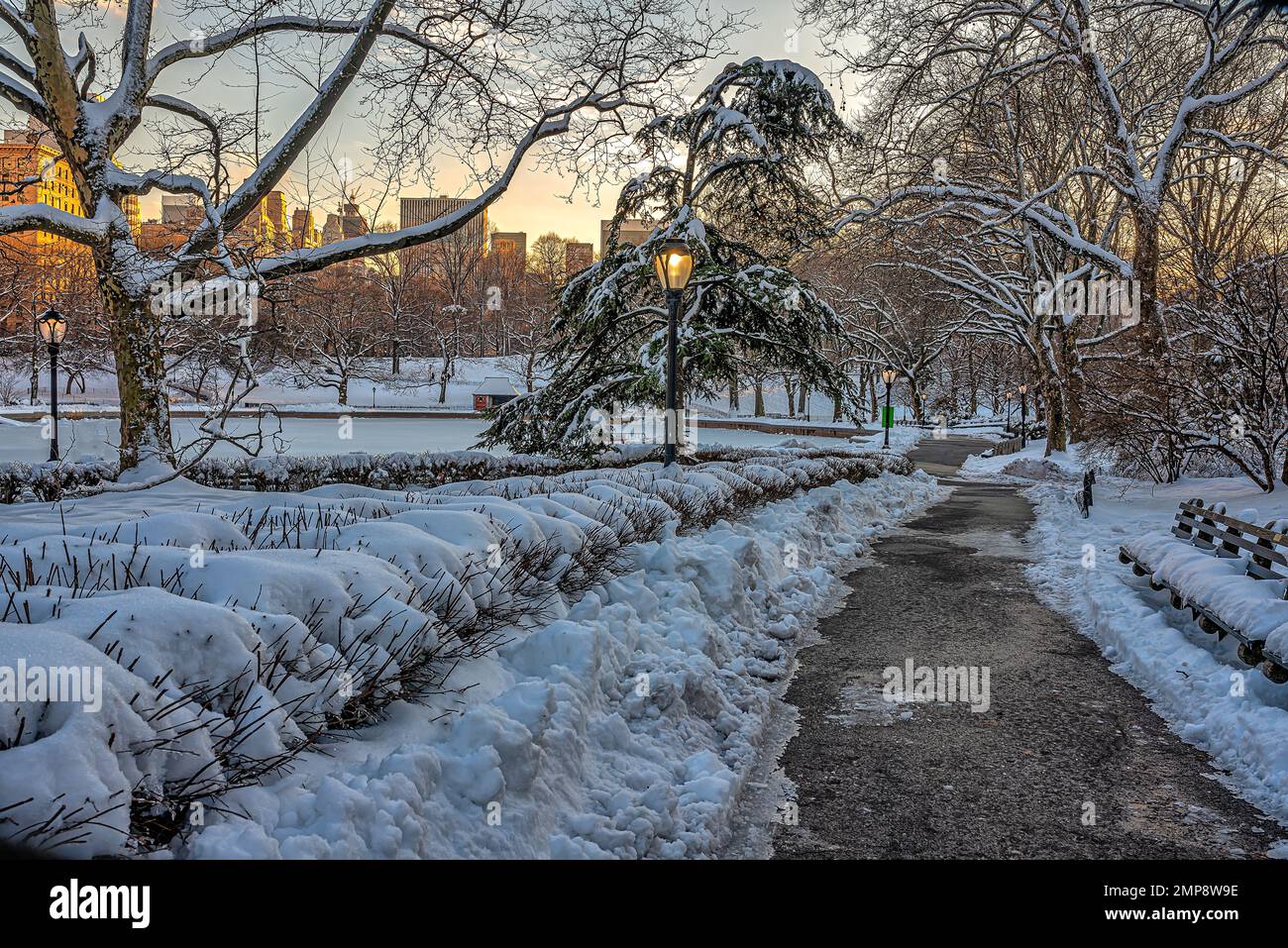 Central Park in winter after snow storm in the early morning Stock ...