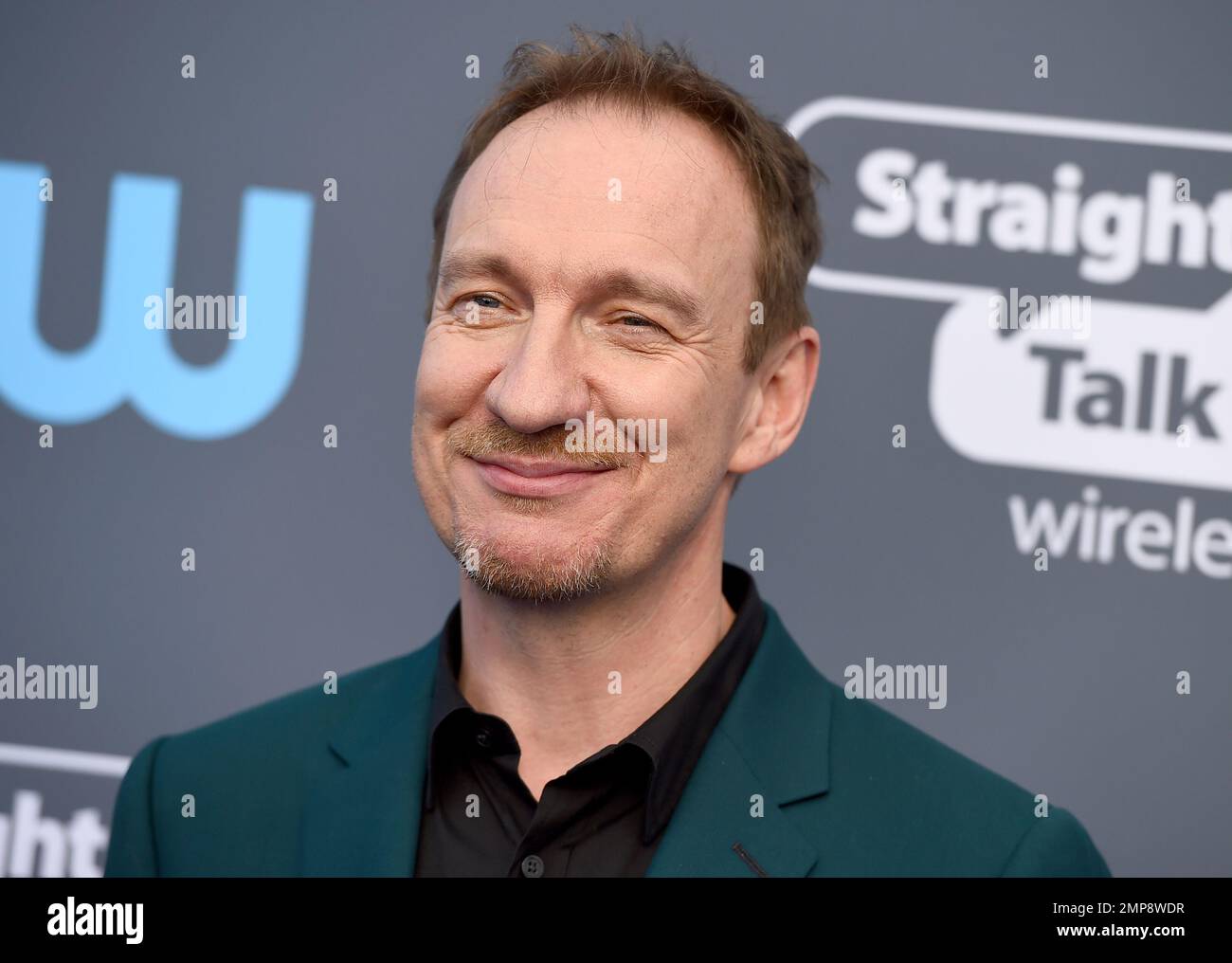 David Thewlis arrives at the 23rd annual Critics' Choice Awards at the ...